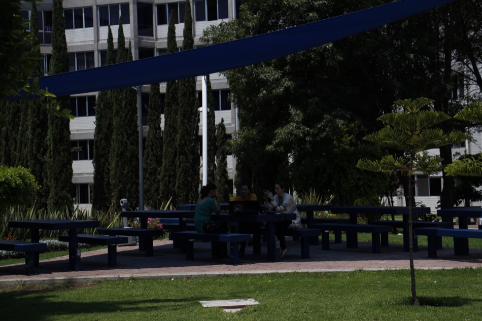 Galeria Umad 13 Umad