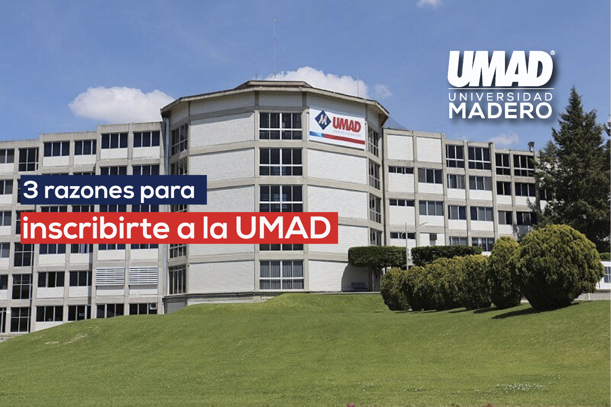 3 razones para inscribirte a la UMAD – UMAD